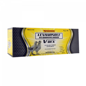 Injectable Vitamin B Complex for Gamefowl | Bexan XP | UNAHCO