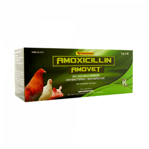 Injectable Vitamin B Complex for Gamefowl | Bexan XP | UNAHCO