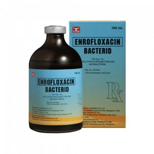 Injectable Vitamin B Complex for Pigs | Bexan SP | UNAHCO