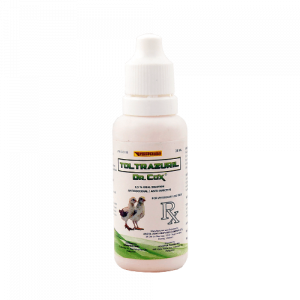 Injectable Vitamin B Complex for Gamefowl | Bexan XP | UNAHCO