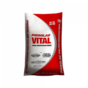 Feeds for Pigs Aged 4-5 Months | Pigrolac Vital Hog Finisher | UNAHCO