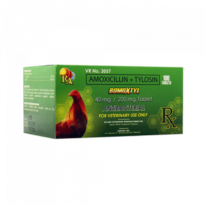 Injectable Vitamin B Complex for Gamefowl | Bexan XP | UNAHCO
