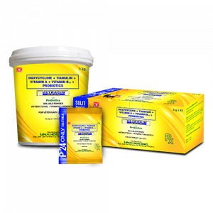 Injectable Vitamin B Complex for Pigs | Bexan SP | UNAHCO