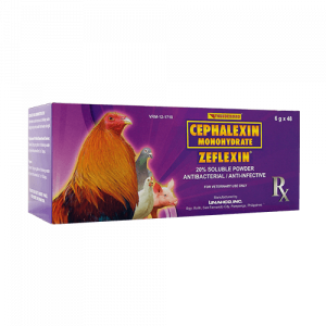 Injectable Vitamin B Complex for Gamefowl | Bexan XP | UNAHCO